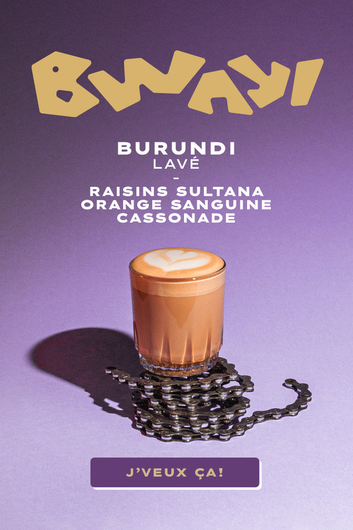 Zab coffee roaster – Zab Café