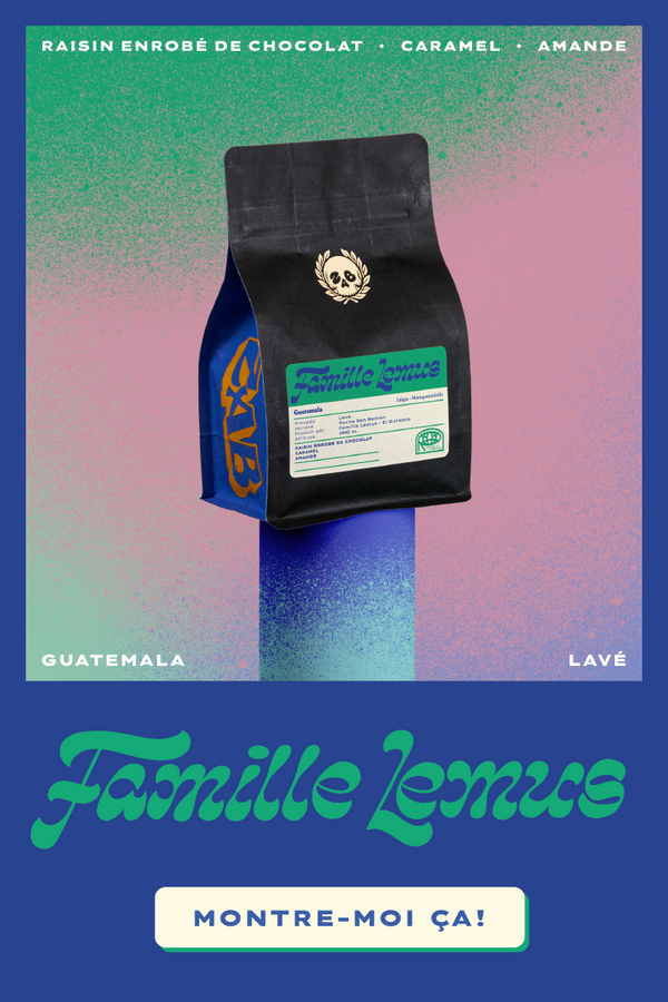 Zab Café Torréfacteur